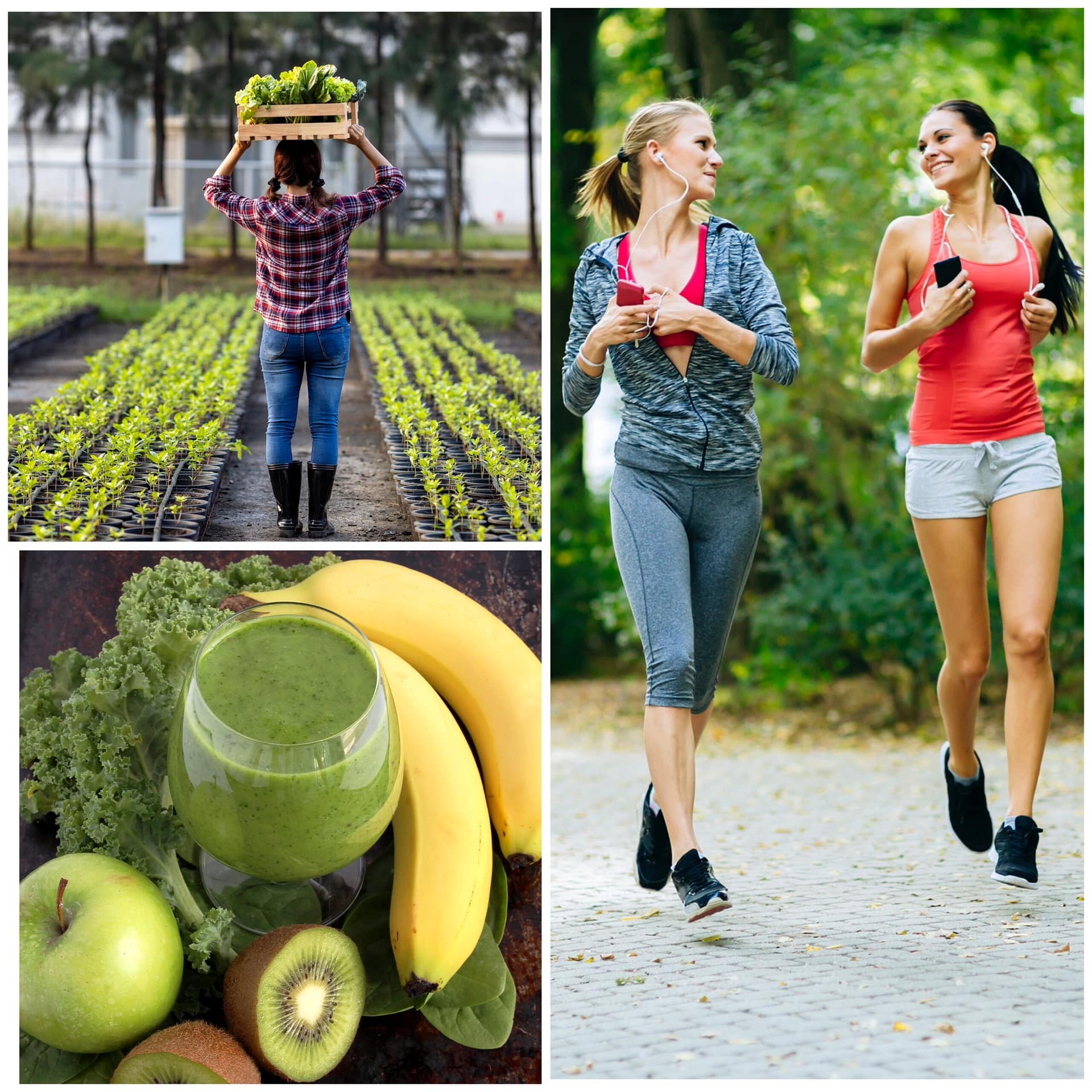 21-Day Purification Challenge - McElwee Natural Health and Healing ...